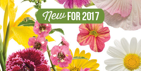 Proven Winners | The #1 Plant Brand